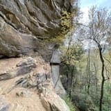 Princess Arch Trail [CLOSED], Kentucky - 1,135 Reviews, Map | AllTrails