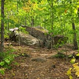 Boulder Loop Trail, New Hampshire - 1,896 Reviews, Map | AllTrails