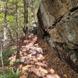 Boulder Loop Trail, New Hampshire - 1,896 Reviews, Map | AllTrails