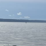 Possession Point State Park Loop, Washington - 136 Reviews, Map | AllTrails