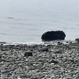 Possession Point State Park Loop, Washington - 136 Reviews, Map | AllTrails