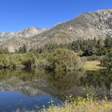 Oak Glen Preserve Trails, California - 792 Reviews, Map | AllTrails