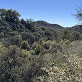 Oak Glen Preserve Trails, California - 792 Reviews, Map | AllTrails