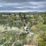 Quail Trail Loop, Utah - 287 Reviews, Map | AllTrails