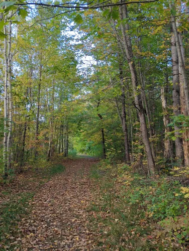 Best Hikes and Trails in Howard Hill Conservation Area | AllTrails