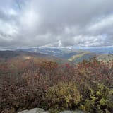 Sam Knob Trail, North Carolina - 1,306 Reviews, Map | AllTrails