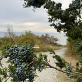 Halibut Point Trail, Massachusetts - 1,181 Reviews, Map | AllTrails