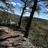 Fiery Gizzard Loop, Tennessee - 1,039 Reviews, Map | AllTrails