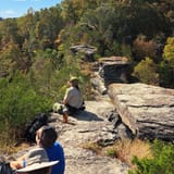 Window Cliffs Trail, Tennessee - 1,333 Reviews, Map | AllTrails