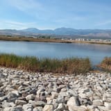 Damonte Ranch Wetland Loop, Nevada - 1,110 Reviews, Map | AllTrails