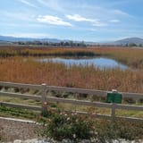 Damonte Ranch Wetland Loop, Nevada - 1,110 Reviews, Map | AllTrails
