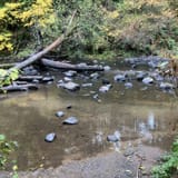 South Falls and Maple Ridge Loop, Oregon - 1,832 Reviews, Map | AllTrails