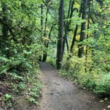 South Falls and Maple Ridge Loop, Oregon - 1,832 Reviews, Map | AllTrails