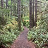 South Falls and Maple Ridge Loop, Oregon - 1,832 Reviews, Map | AllTrails