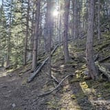 Burning Bear Trail, Colorado - 577 Reviews, Map | AllTrails