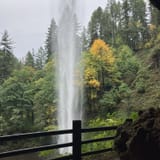 South Falls and Maple Ridge Loop, Oregon - 1,832 Reviews, Map | AllTrails
