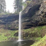 South Falls and Maple Ridge Loop, Oregon - 1,832 Reviews, Map | AllTrails