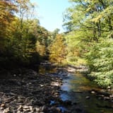 South Toe River Loop Trail, North Carolina - 431 Reviews, Map | AllTrails