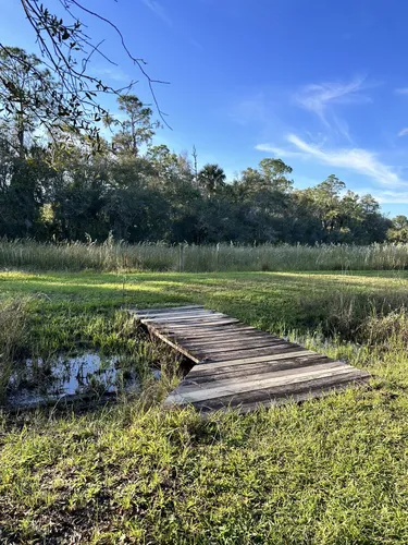 Best Hikes and Trails in Babcock Ranch Nature Preserve | AllTrails