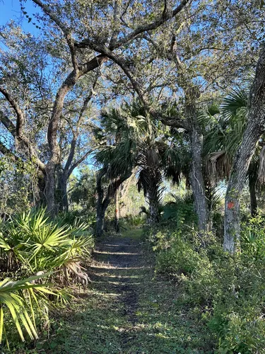 Best Hikes and Trails in Babcock Ranch Nature Preserve | AllTrails