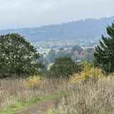Bald Hill Natural Area Loop, Oregon - 341 Reviews, Map | AllTrails