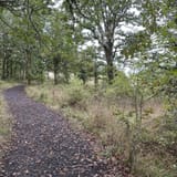 Bald Hill Natural Area Loop, Oregon - 341 Reviews, Map | AllTrails