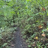 Bald Hill Natural Area Loop, Oregon - 341 Reviews, Map | AllTrails