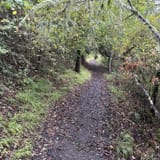 Bald Hill Natural Area Loop, Oregon - 341 Reviews, Map | AllTrails