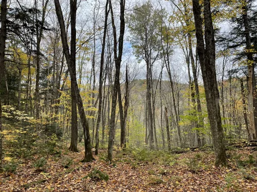 Best Walking Trails in Val-Des-Monts | AllTrails