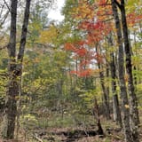 The Flume Fall , New York - 758 Reviews, Map | AllTrails