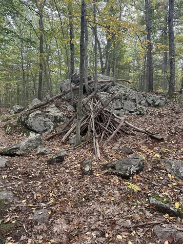 Best Hikes and Trails in Sally Milligan Park | AllTrails