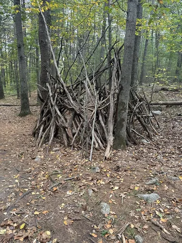 Best Hikes and Trails in Sally Milligan Park | AllTrails