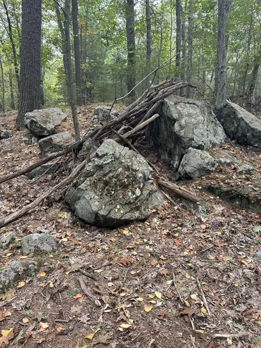 Best Hikes and Trails in Sally Milligan Park | AllTrails