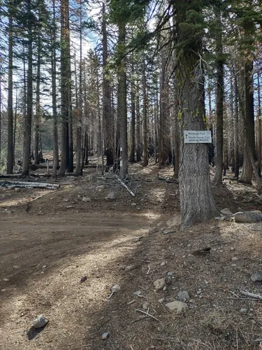 Best Hikes and Trails in Butte Meadows | AllTrails