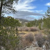 Turtle Rock Loop Trail, Wyoming - 1,084 Reviews, Map | AllTrails