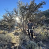 Boundary Peak Trail, Nevada - 198 Reviews, Map | AllTrails