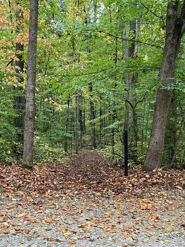 Best Kid Friendly Trails in Spring Mill State Park | AllTrails