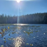 Upper Cataract Lake Trail, Colorado - 185 Reviews, Map | AllTrails