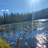 Upper Cataract Lake Trail, Colorado - 185 Reviews, Map | AllTrails