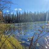 Upper Cataract Lake Trail, Colorado - 185 Reviews, Map | AllTrails