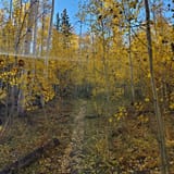 Upper Cataract Lake Trail, Colorado - 185 Reviews, Map | AllTrails