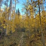 Upper Cataract Lake Trail, Colorado - 185 Reviews, Map | AllTrails