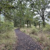 Bald Hill Natural Area Loop, Oregon - 341 Reviews, Map | AllTrails