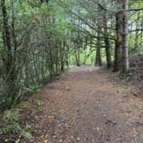 Bald Hill Natural Area Loop, Oregon - 341 Reviews, Map | AllTrails
