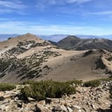 Freel Peak from Armstrong Pass, California - 529 Reviews, Map | AllTrails