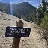 Freel Peak from Armstrong Pass, California - 529 Reviews, Map | AllTrails