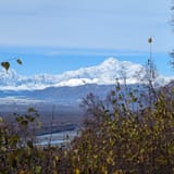 Curry Ridge Trail, Alaska - 822 Reviews, Map | AllTrails