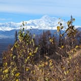 Curry Ridge Trail, Alaska - 822 Reviews, Map | AllTrails