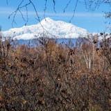 Curry Ridge Trail, Alaska - 822 Reviews, Map | AllTrails