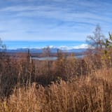 Curry Ridge Trail, Alaska - 822 Reviews, Map | AllTrails